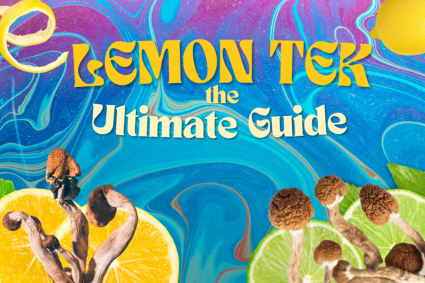 How To Lemon Tek: Psilocybin Preparation Guide - Mamadose