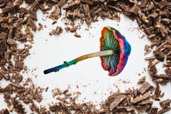 Everything You Need to Know About Shroom Chocolates - Mamadose