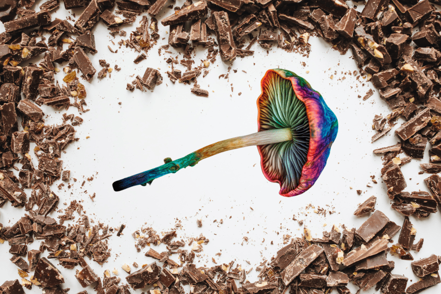 Everything You Need to Know About Shroom Chocolates - Mamadose