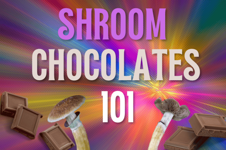 Everything You Need to Know About Shroom Chocolates - Mamadose